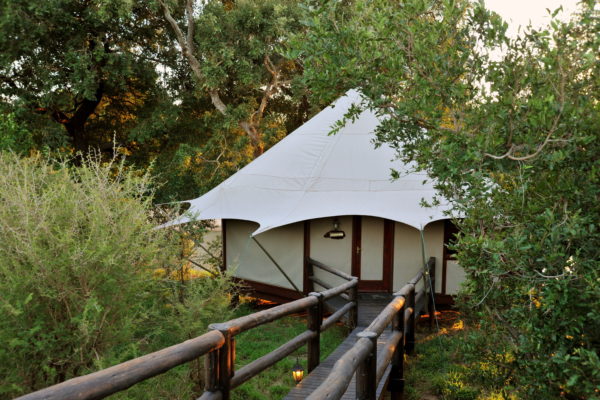 Hamiltons Tented Camp | Kruger National Park