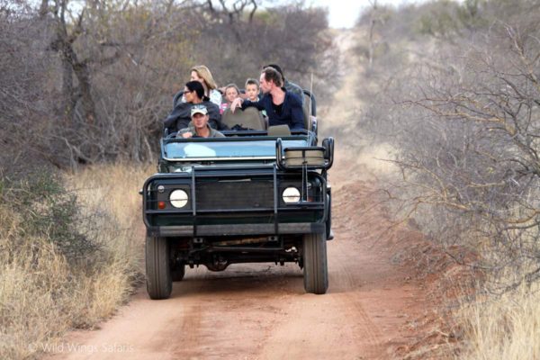 7 Great Ways to Get the Best Wildlife Viewing Experience
