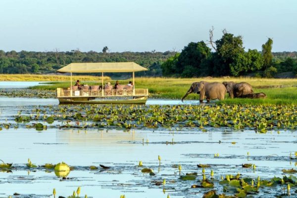 Chobe Savanna Lodge | Chobe National Park | Namibia