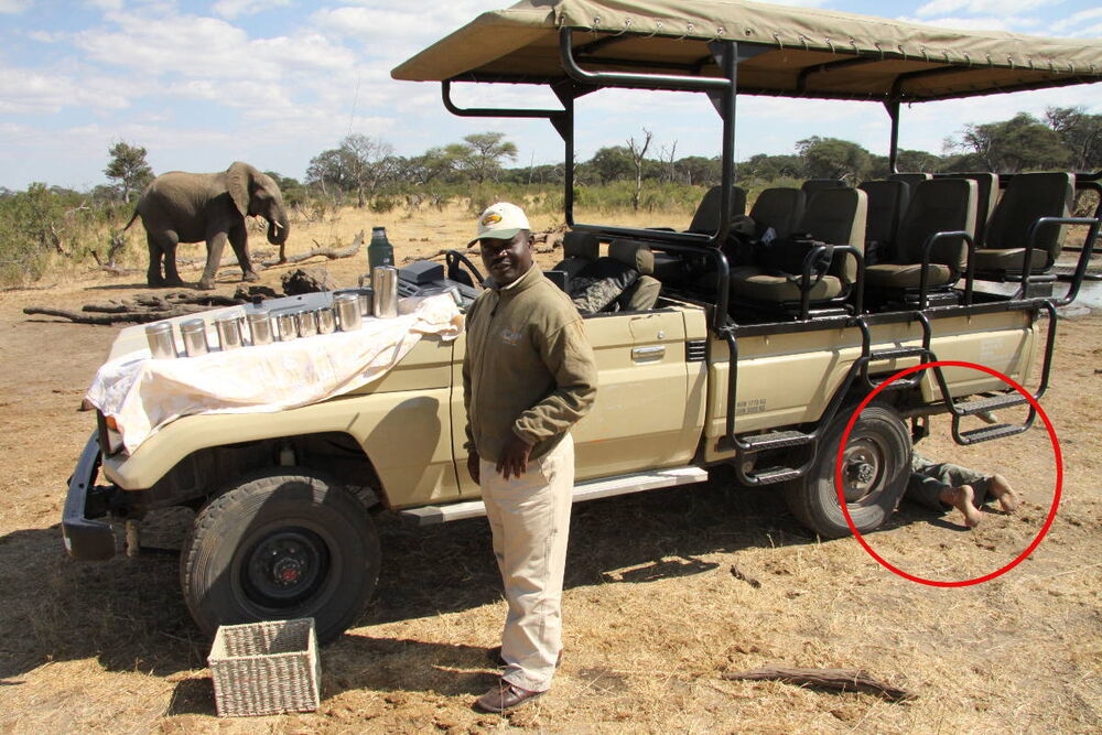 The Most Important Secret to a Great Safari - Part 1