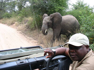 The Most Important Secret to a Great Safari - Part 1
