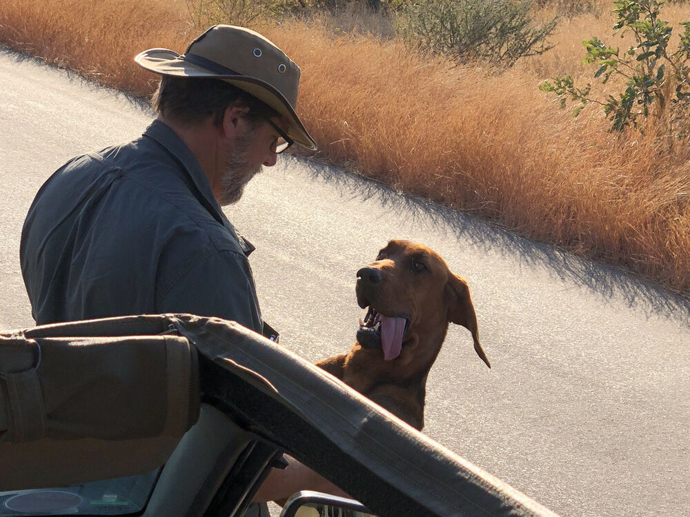 The Story of Duke the Tracking Dog