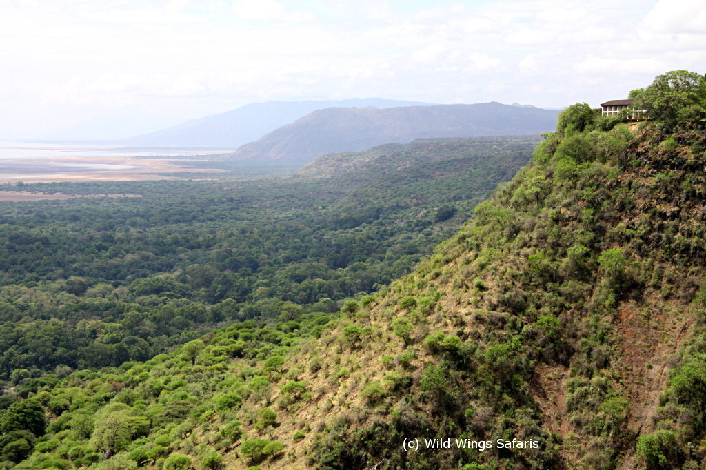 Travel Guide Ngorongoro Karatu Area | Tanzania