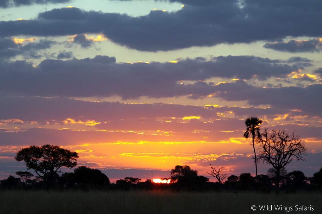 Travel Guide Hwange National Park | Zimbabwe