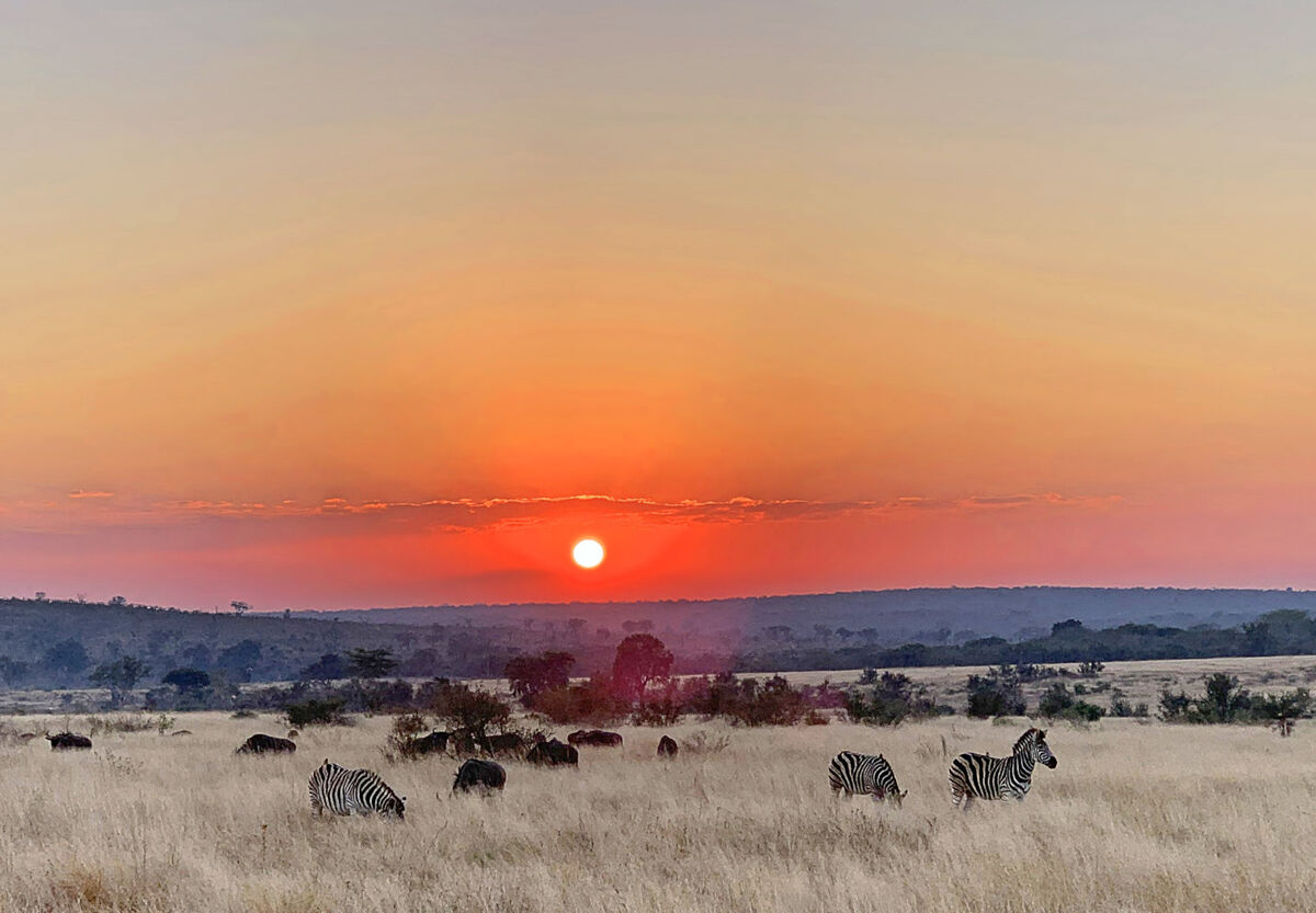 Top 10 things you probably didn't know about Kruger National Park