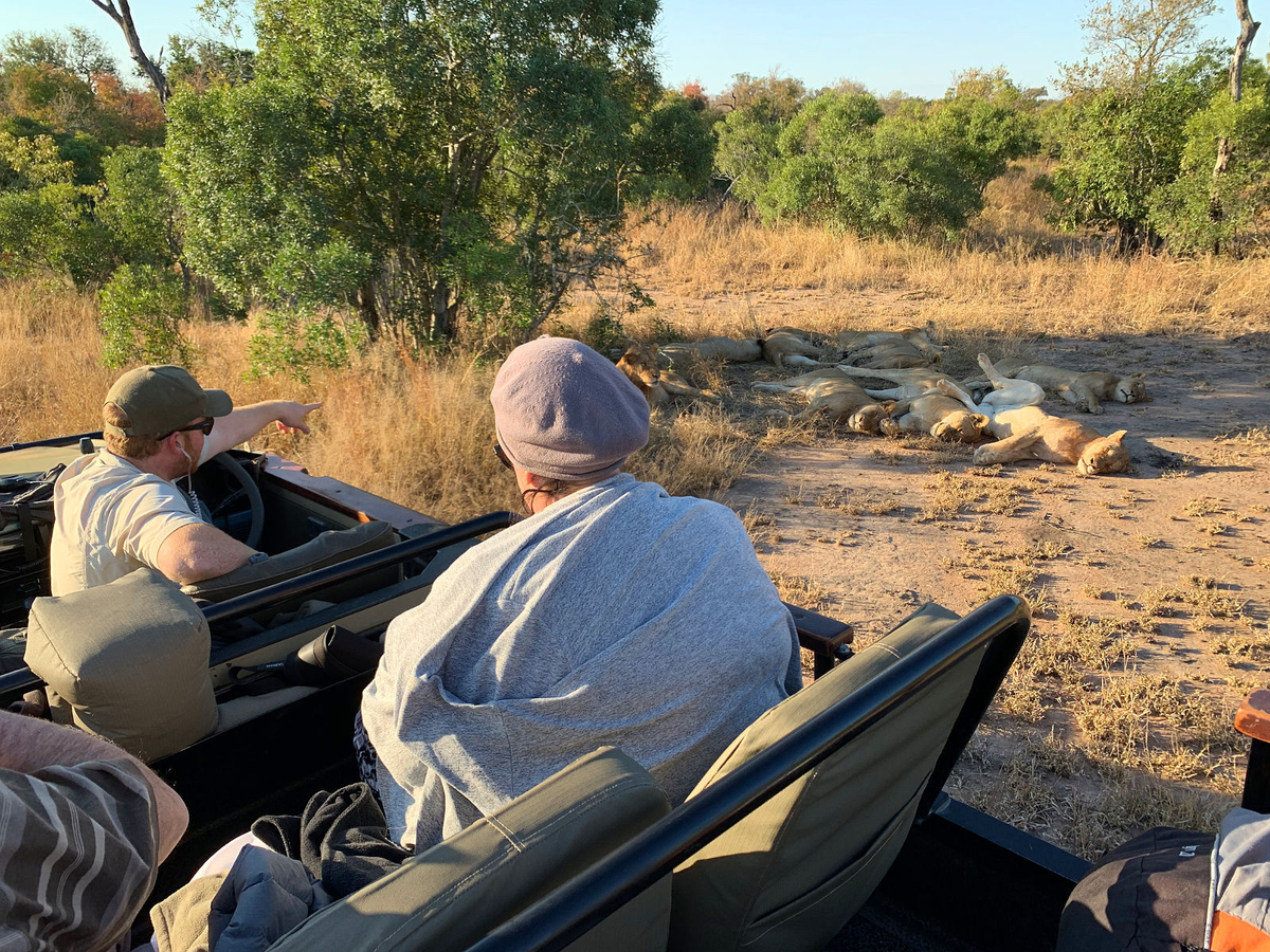 Travel Guide Manyeleti Game Reserve