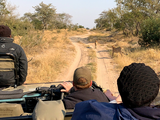 Travel Guide Manyeleti Game Reserve