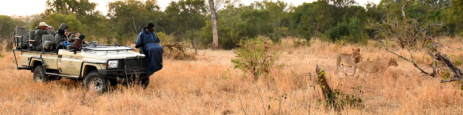 Another Kruger Secret: The Manyeleti Game Reserve