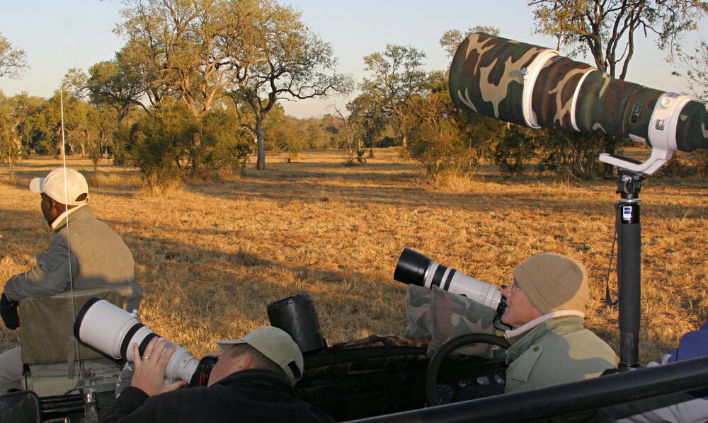 12 Wildlife Photography Tips For Your Next Photographic Safari