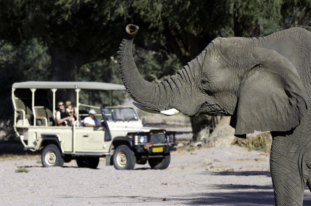 7 day Flying Namibian Safari
