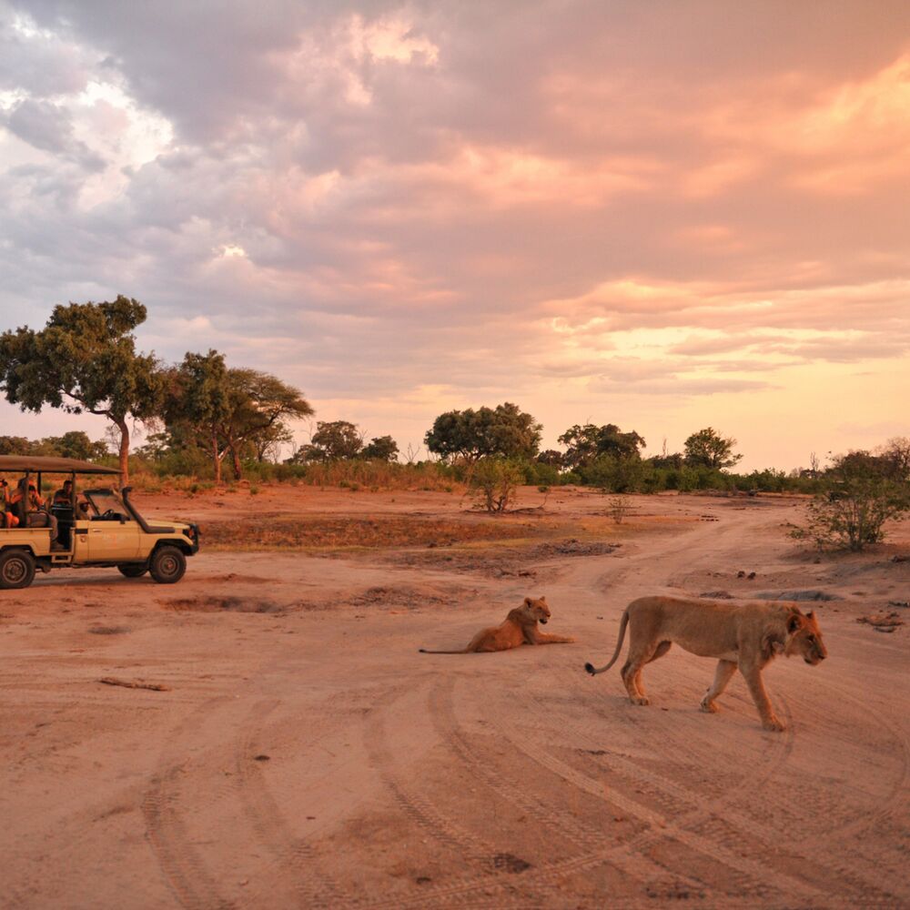Pairing Southern Africa's Top Safari Destinations