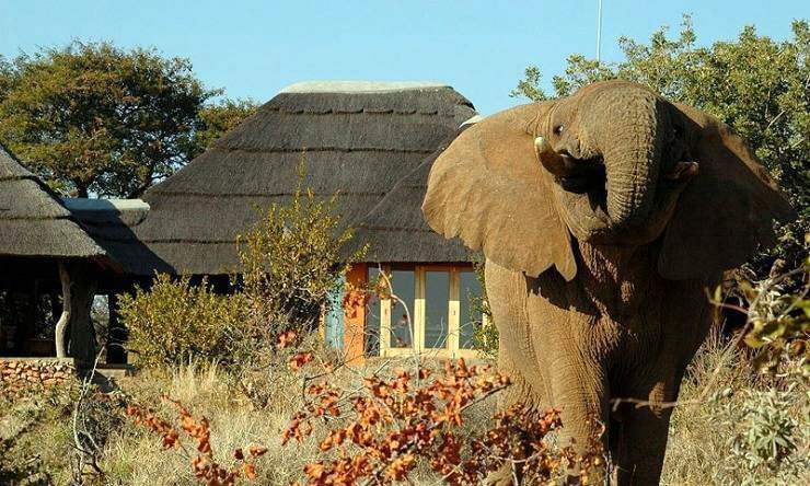 Rhulani Safari Lodge | Madikwe