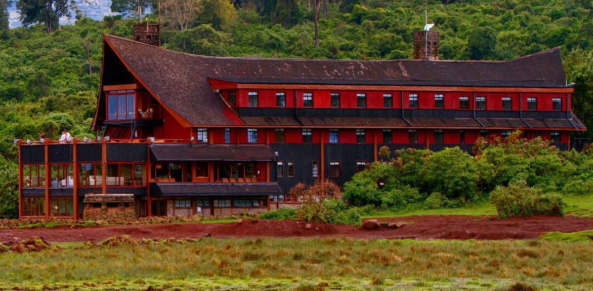 The Ark in Aberdare is a many-tiered viewing deck for incredible wildlife