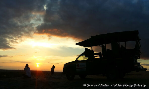 The Most Important Secret to a Great Safari - Part 2