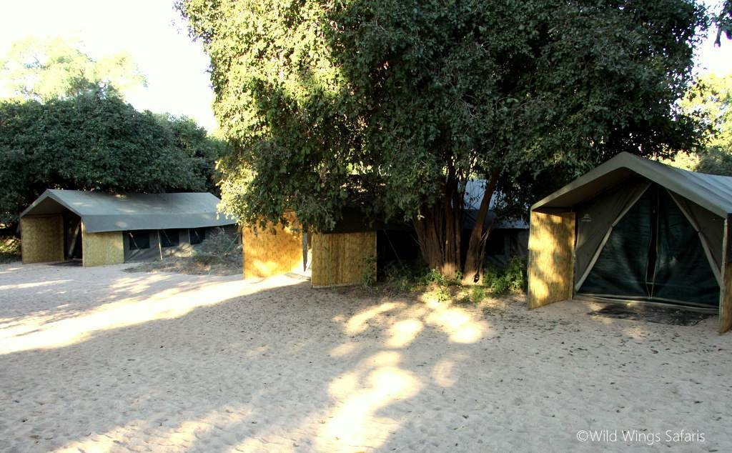 Goliath Safari Camp | Mana Pools