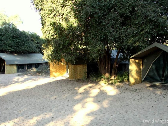 Goliath Safari Camp | Mana Pools