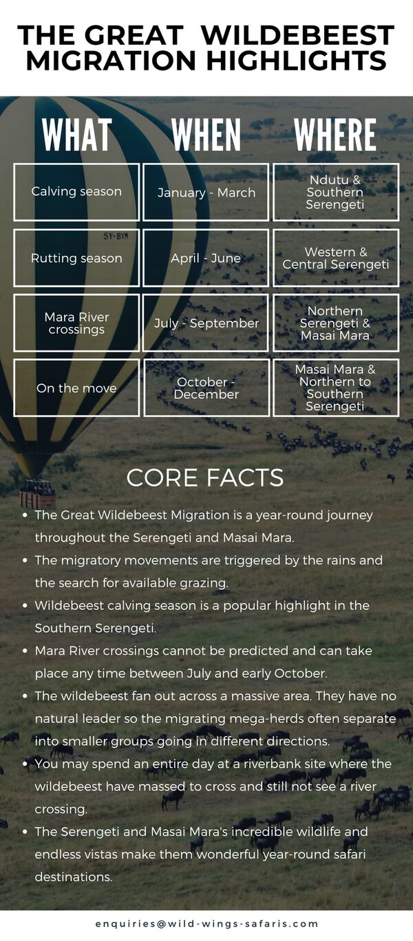 The Great Wildebeest Migration: A complete guide