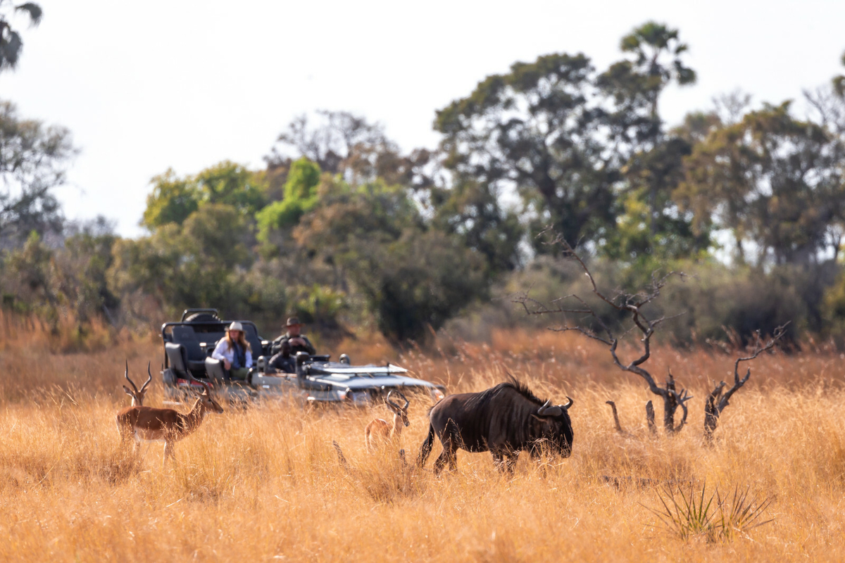 Travel Guide Okavango Delta | Botswana