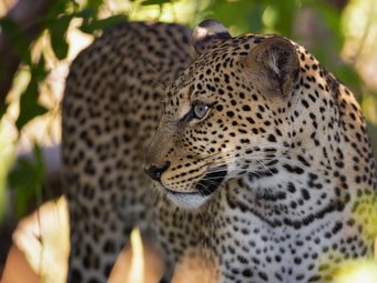 Travel Guide Samburu National Park