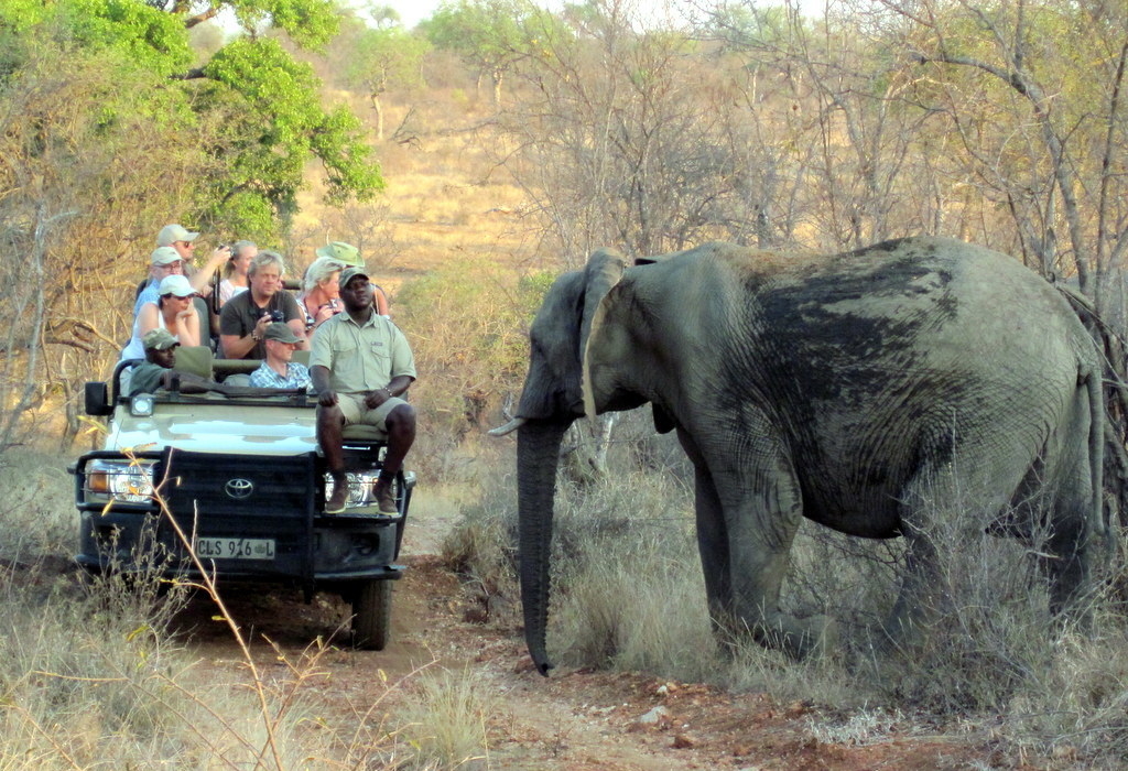 Mohlabetsi Safari Lodge | Balule | Greater Kruger National Park