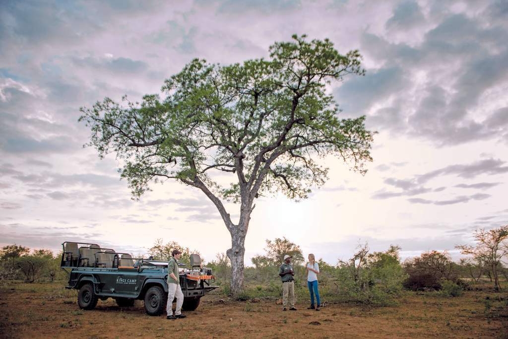 Kings Camp | Timbavati Private Game Reserve