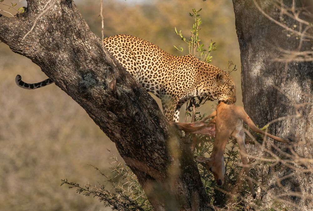 Goodbye 2021, Hello 2022