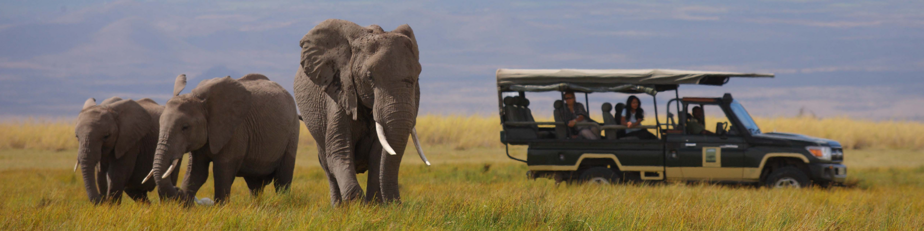 How expensive is an African safari?