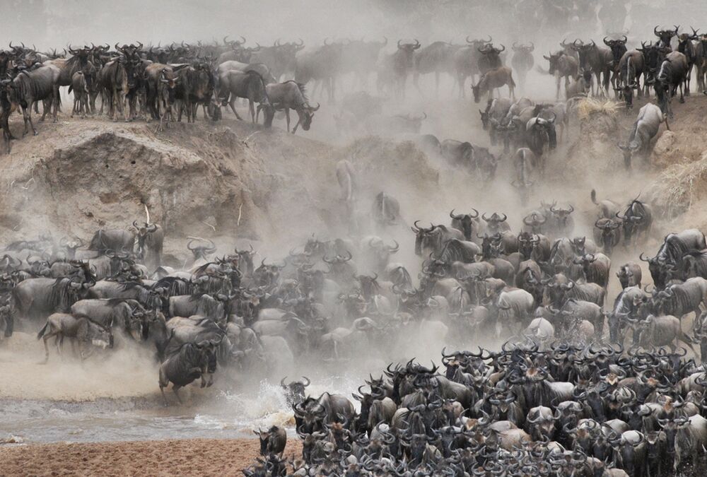 How expensive is an African safari?