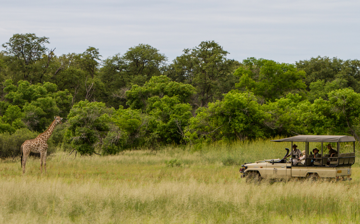 Camp Moremi | Okavango Delta | Botswana