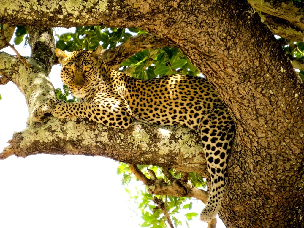 Travel Guide Katavi National Park | Tanzania