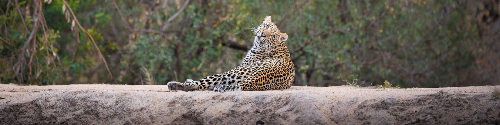 Map of Sabi Sand Game Reserve