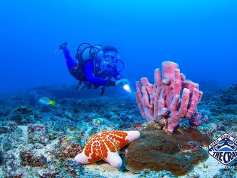 Travel Guide Coastal Kenya Beach Paradise