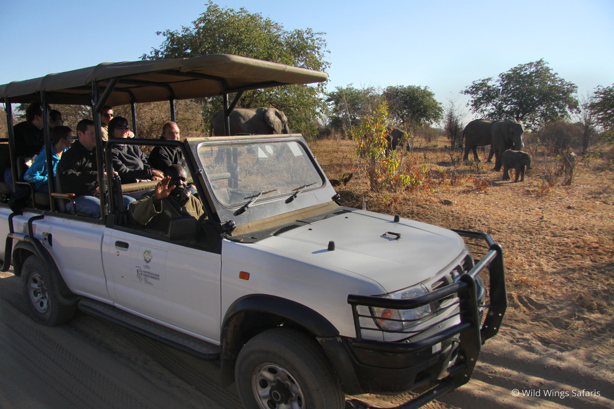 Travel Guide Chobe National Park | Botswana