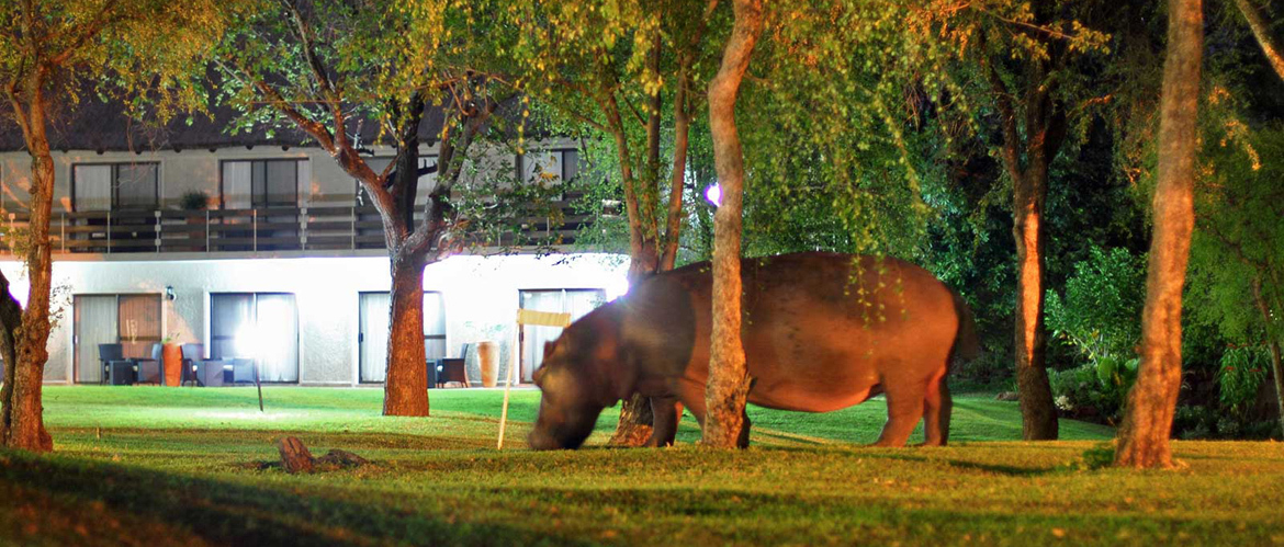 A'Zambezi River Lodge | Victoria Falls | Zimbabwe